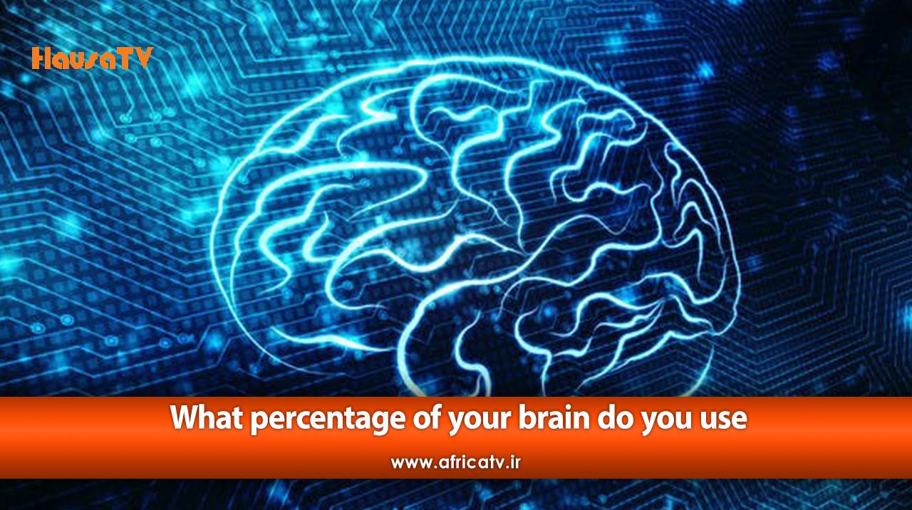 What percentage of your brain do you use ? | Urmedium