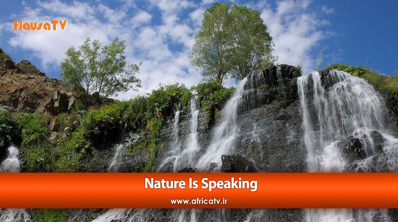 Nature Is Speaking | Urmedium